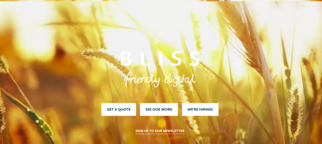 This Is Bliss The Creative Agency Profile & How It Works